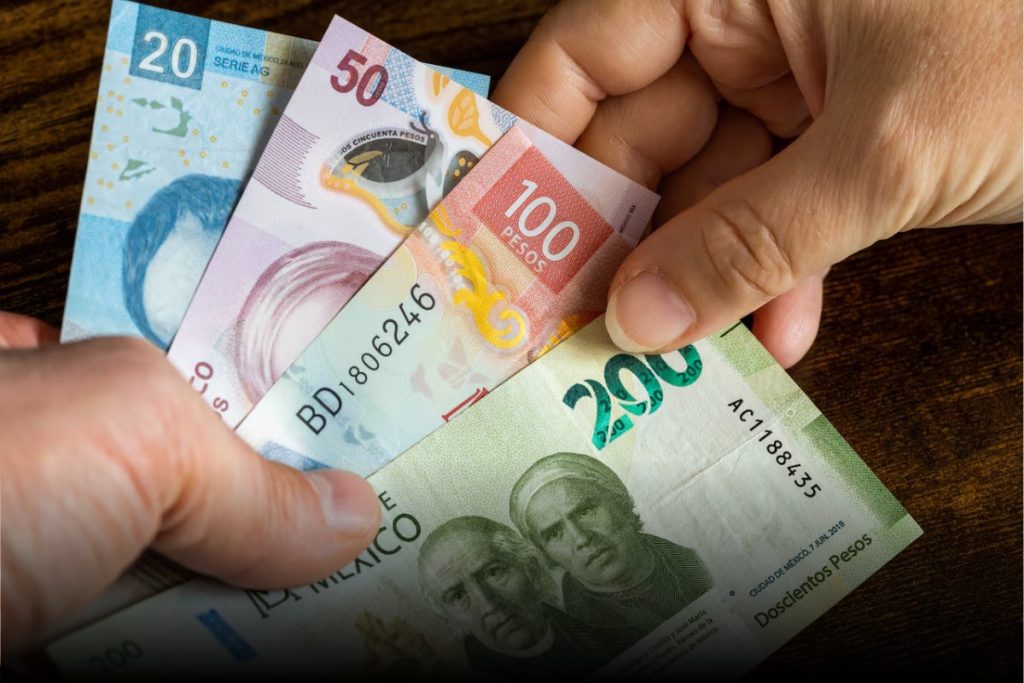 Inflación se sitúa en 4.56 % durante la primera quincena de noviembre ...